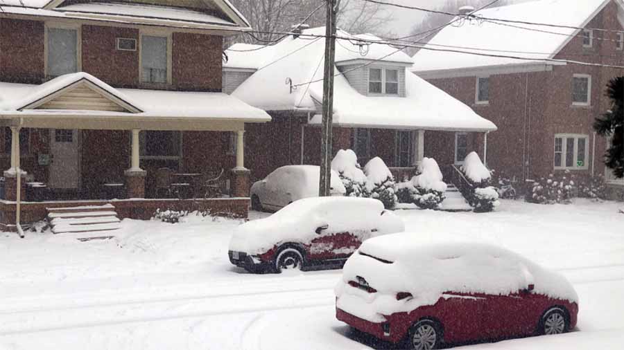 Снігова буря накрила південно-західне Онтаріо